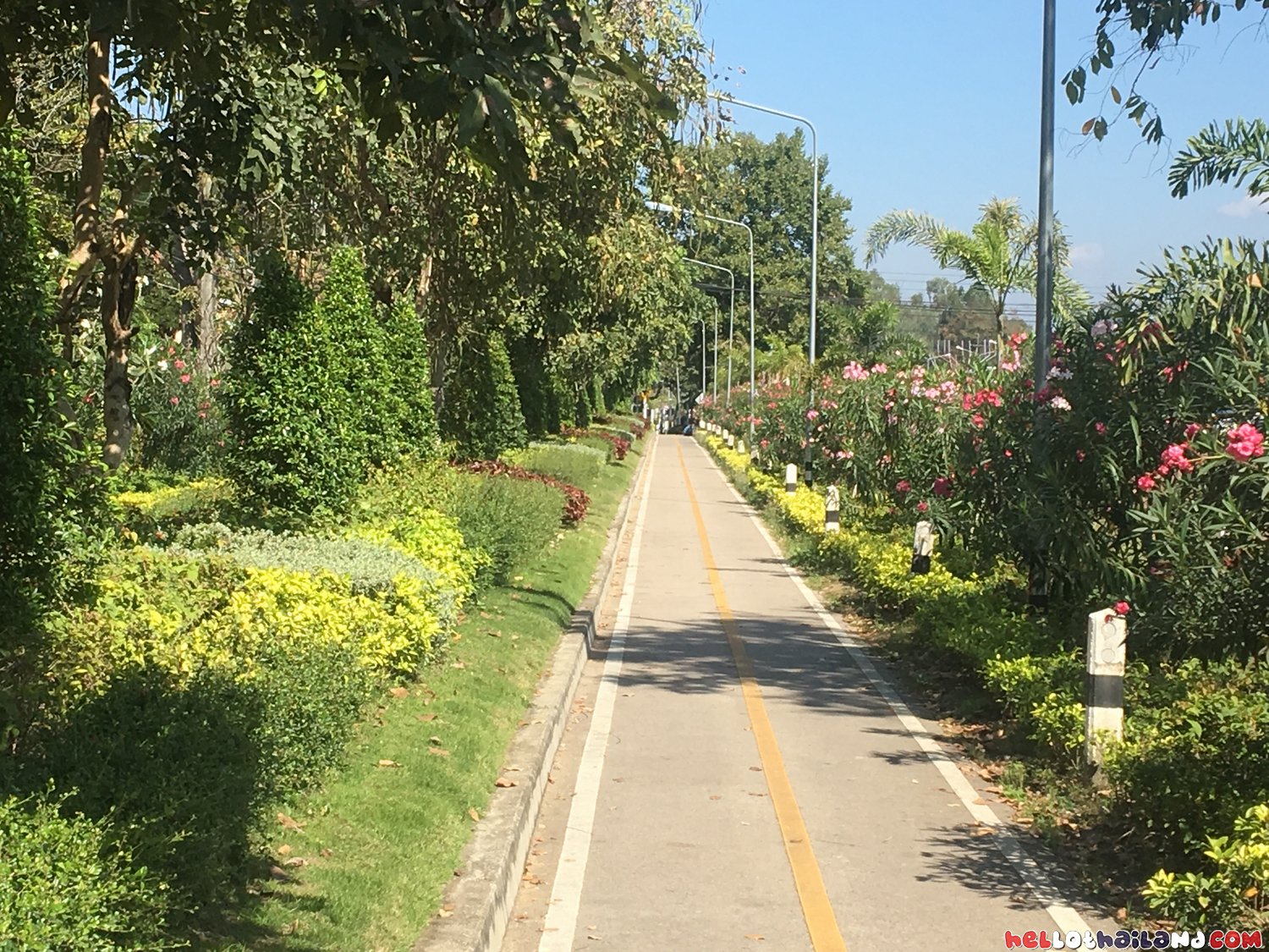 Nice Walk Biking Path Chiang Mai - Hello Thailand